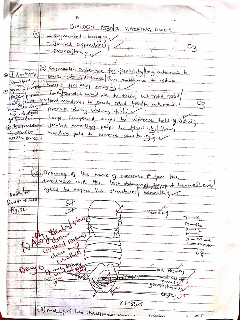 Taeb Bio p530-3 Guide 2022 | PDF