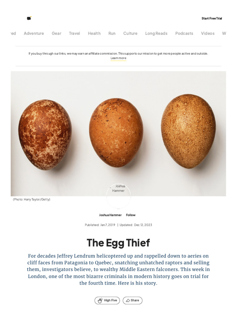 The Egg Thief | PDF | Falconry | United Arab Emirates