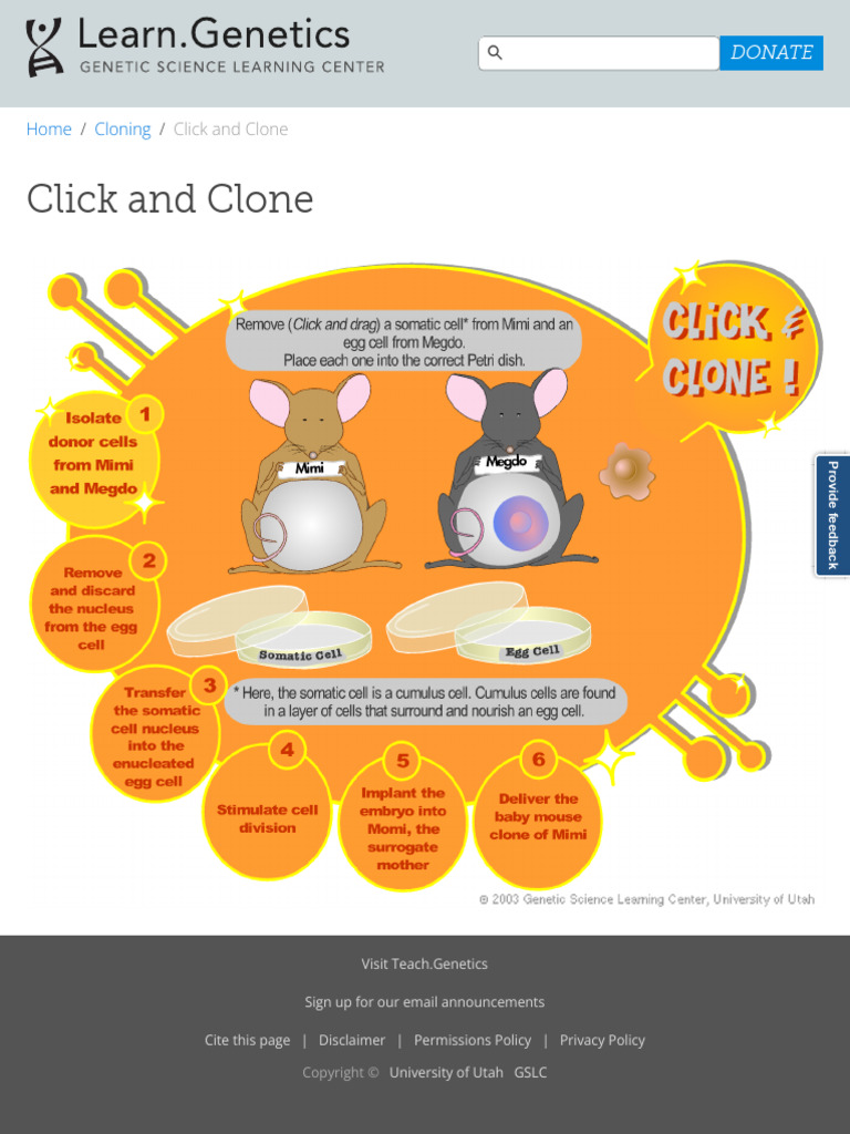 Click and Clone | PDF
