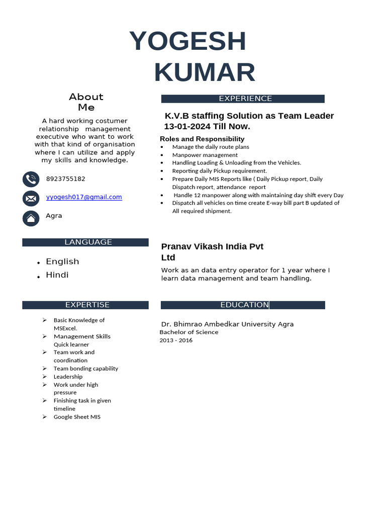 Blue Professional Modern CV Resume | PDF