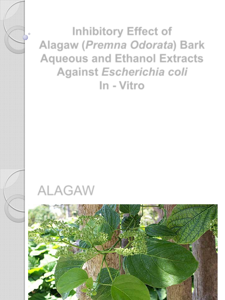 inhibitory-effect-of-alagaw | PDF | Medical Specialties | Microbiology