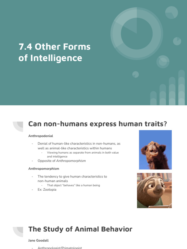 7.4 Other Forms of Intelligence - Gray | PDF