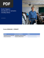 Instructivo de Ingreso A Plataformas IBEC | PDF