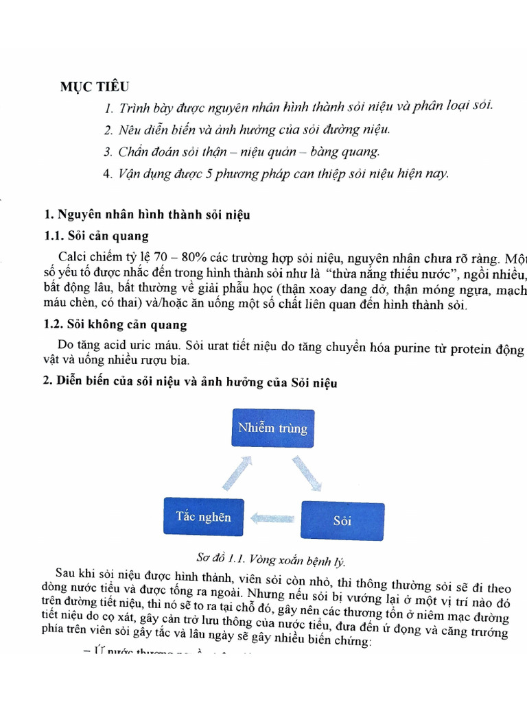 PDFReader 20241017 0018 | PDF