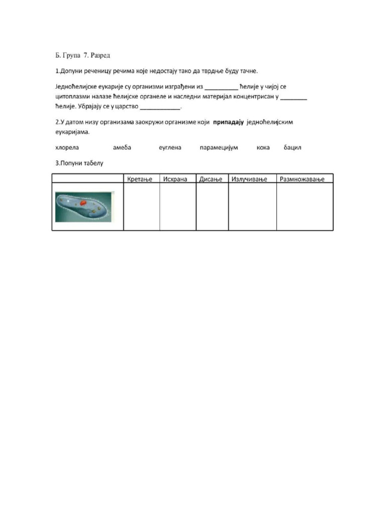 Bios | PDF