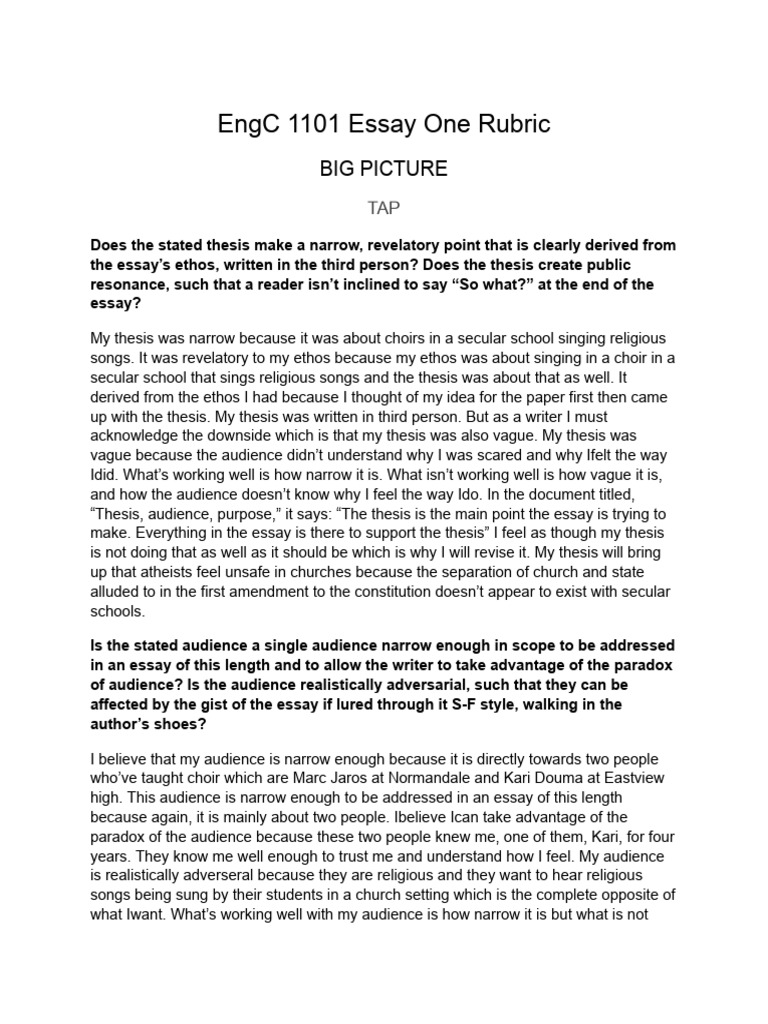 Essay 1 Revision Plan | PDF | Comma | Essays