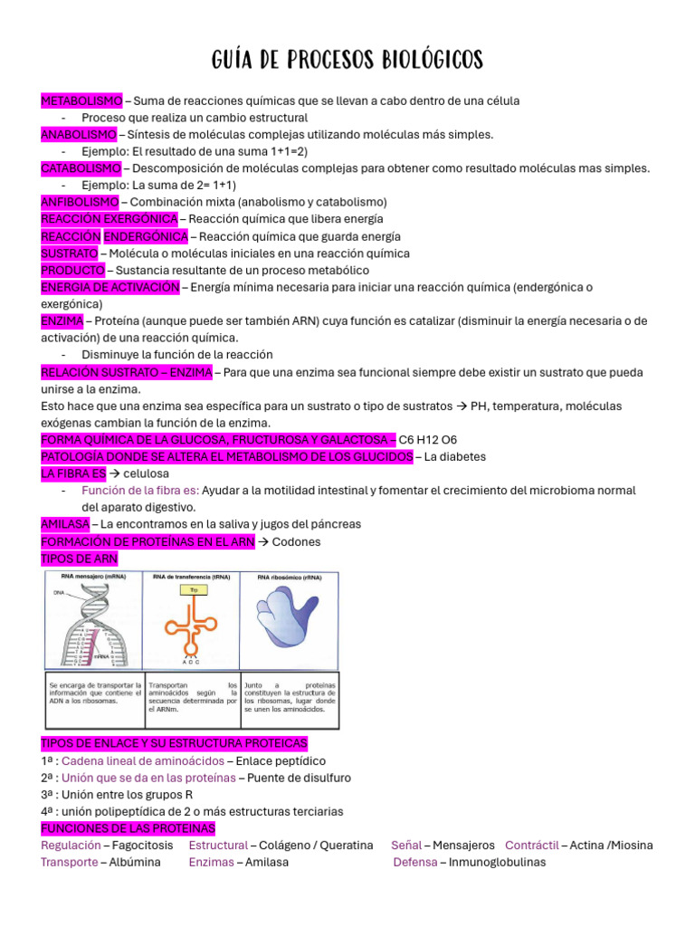 Guía de Procesos Biológicos | PDF | Receptor (Bioquímica ...