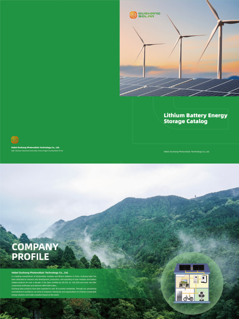 Lithium Battery | PDF