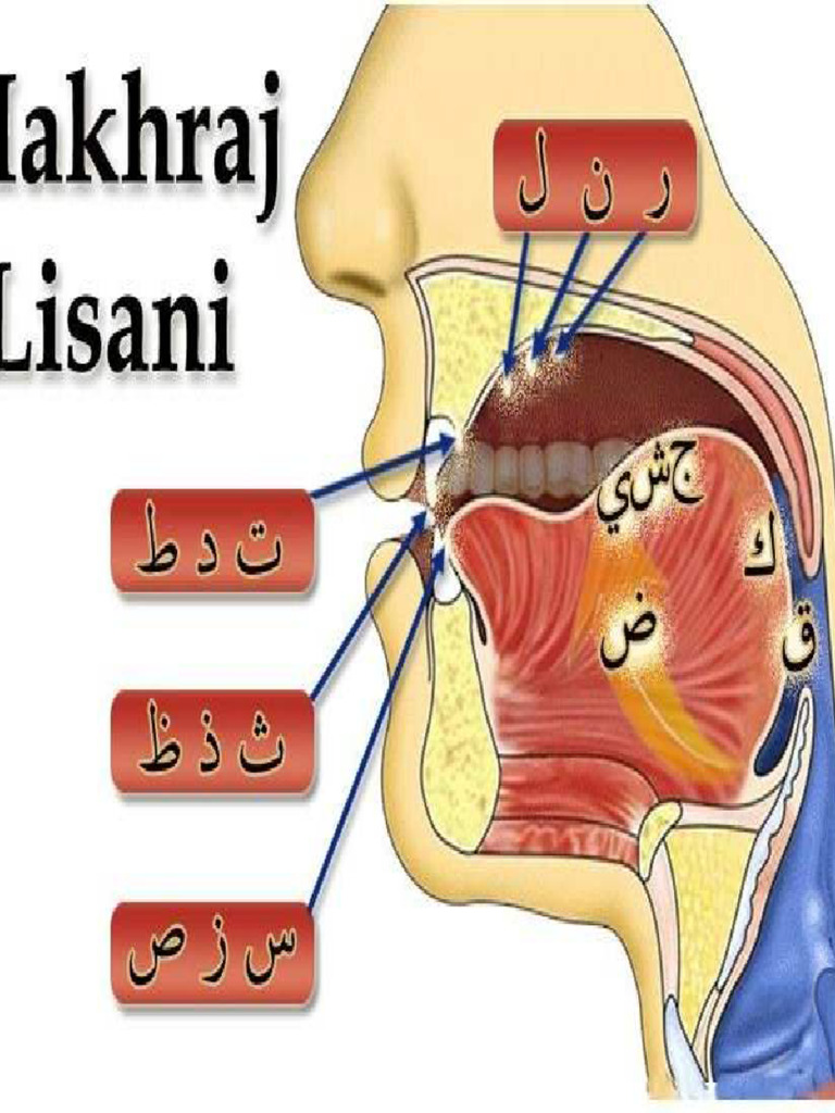 makharijul huruf | PDF