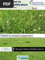 Weed Identification Guide | PDF | Clover | Leaf