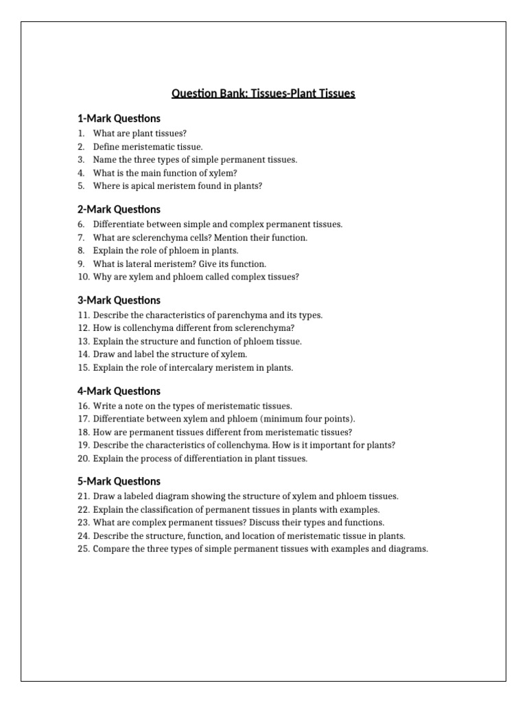 Plant Tissue Question Bank for Grade 10 | PDF