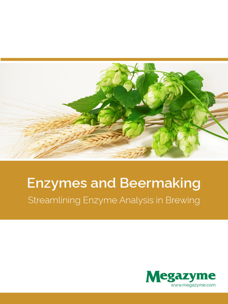 Enzymes and Beermaking 2019 | PDF | Brewing | Malt