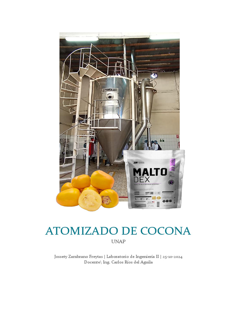 Atomizado de Cocona PDF | PDF | Fruta | Humedad