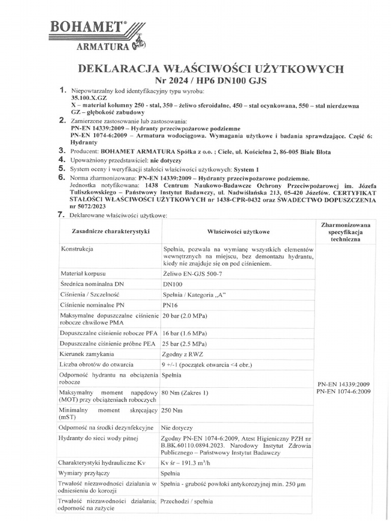 Dwu HP6 DN100 GJS 2024 1 | PDF