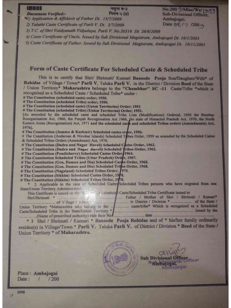 Cast Certificate 1 | PDF
