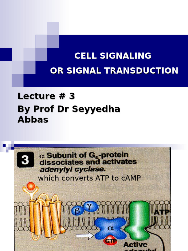 Cell Signaling Mechanisms Explained | PDF | Kinase | Biotechnology
