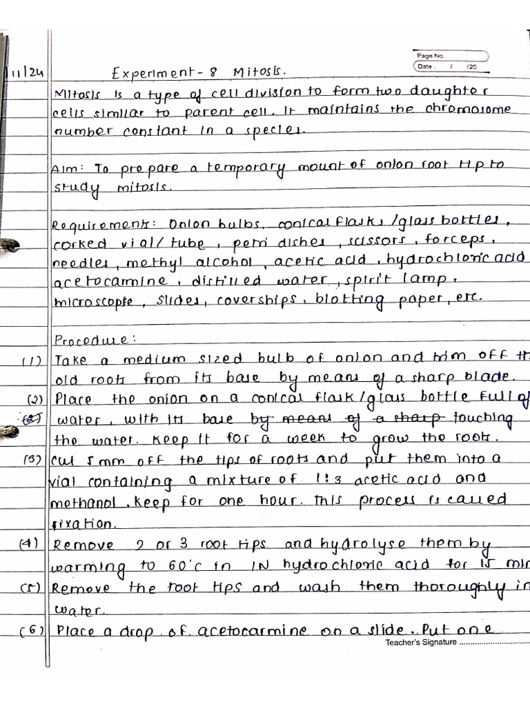 Exp 8 | PDF