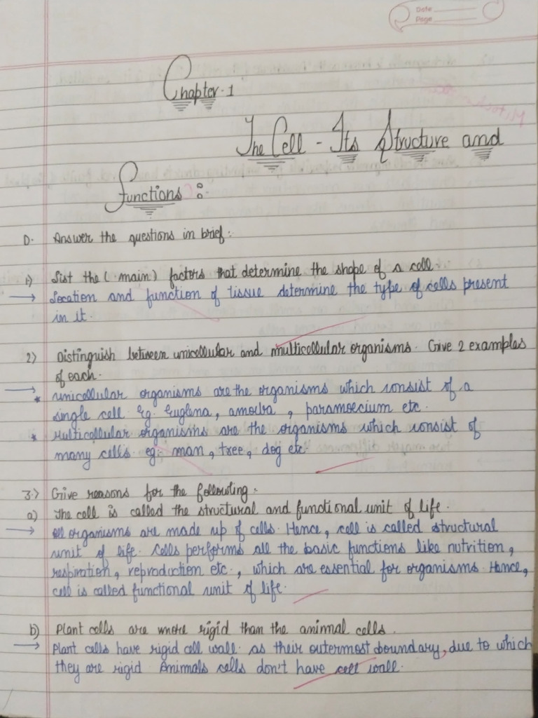 Biology Class 8 | PDF