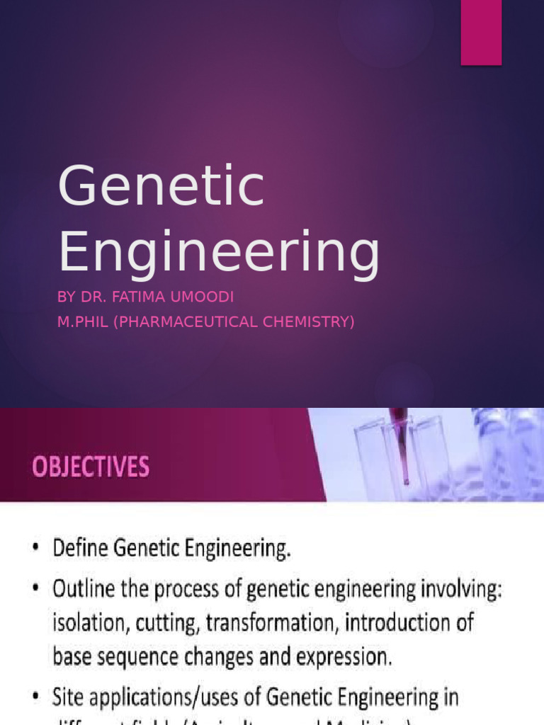 Insulin Production via Genetic Engineering | PDF