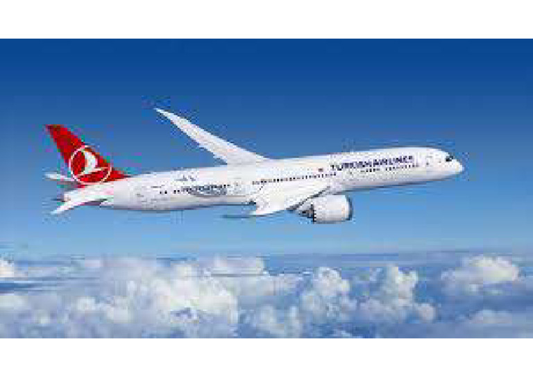 Turkish Airlines b787 | PDF