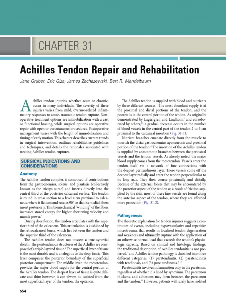 Rehabilitación Tendón de Aquiles | PDF | Tendon | Medical Specialties