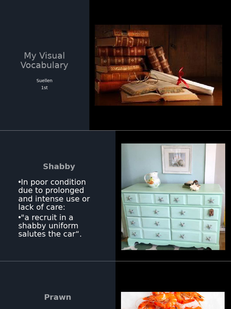My Visual Vocabulary | PDF