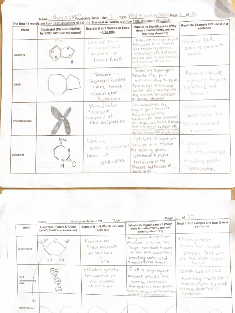 Averie’s unit 2 bio vocab | PDF