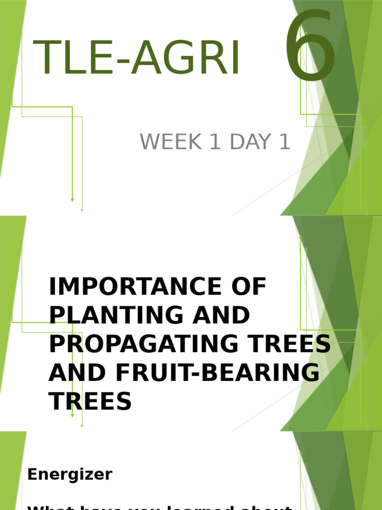 Tle6 Agri Q1 Week1 | PDF | Plants | Trees