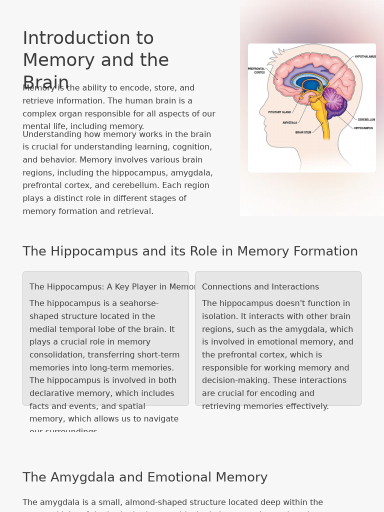 Memory & Brain: A Comprehensive Guide | PDF | Memory | Hippocampus
