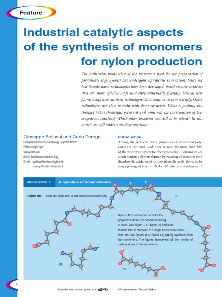 CATTECH Nylon Process Industrial Review | PDF | Catalysis | Hydrogenation