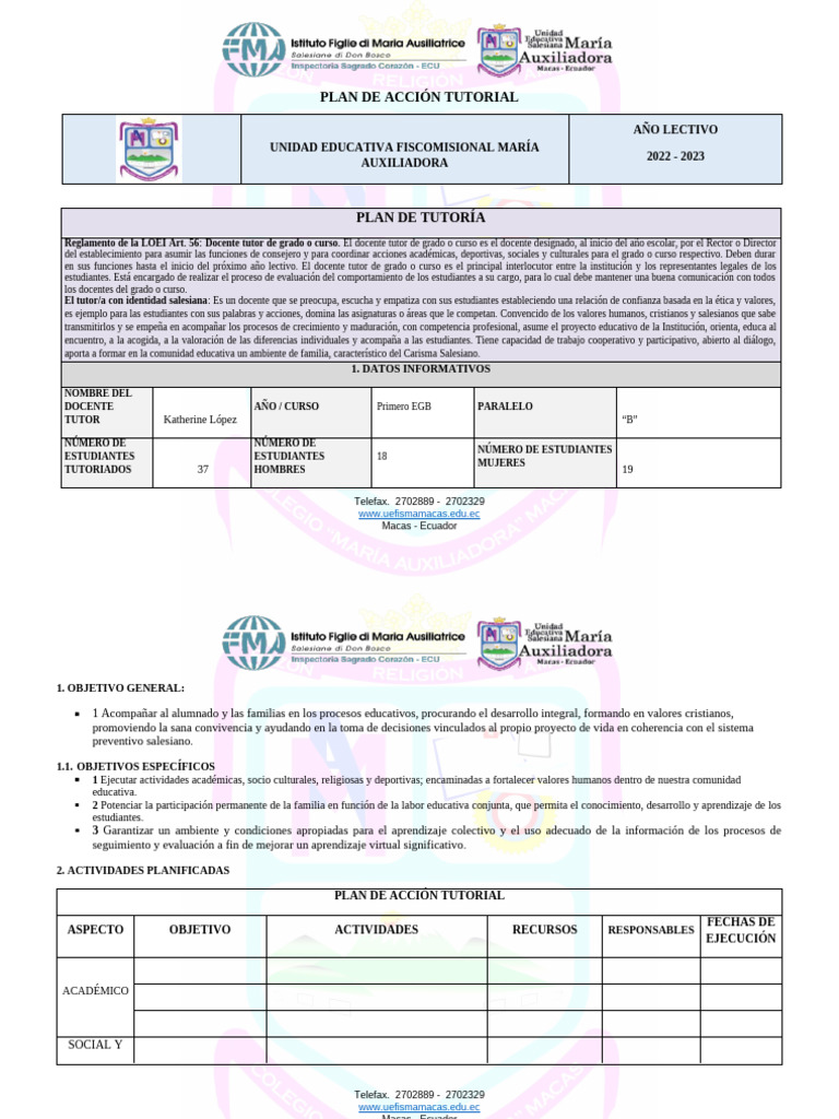 Formato Plan de Accion Tutorial | PDF | Maestros | Aprendizaje