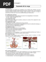Malformations Ano-Rectales : Définition, Types et Diagnostic | PDF ...