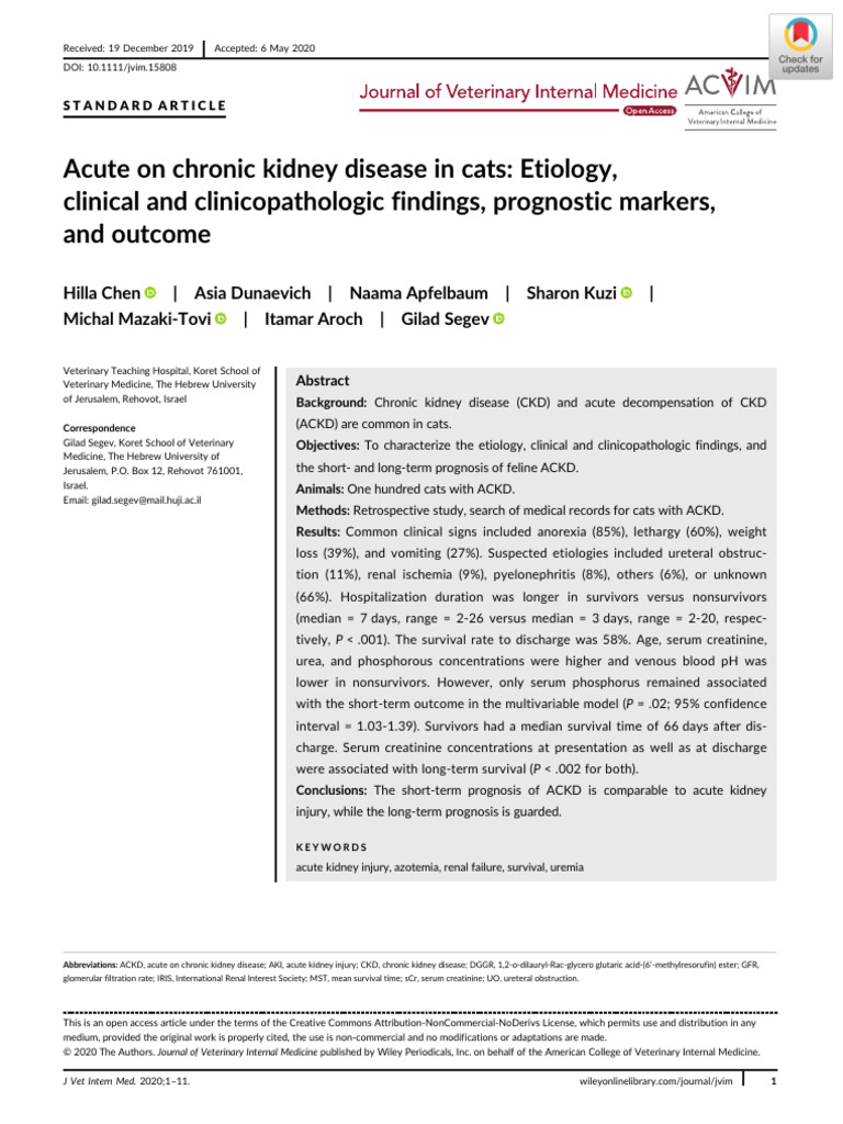 Chen-Acute on Chronic Kidney Disease in Cats- Etiology, Clinical and ...