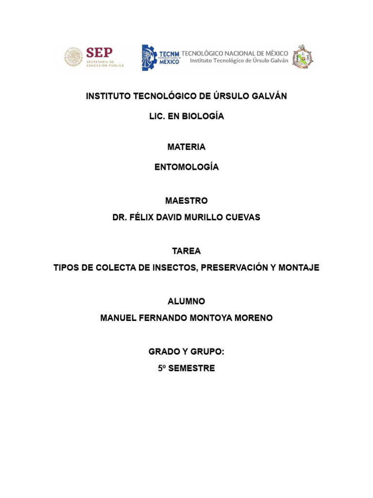 Tipos de Colecta de Insectos, Preservación y Montaje | PDF | Insectos ...