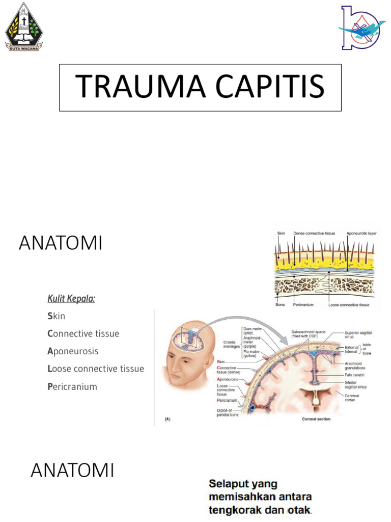 Trauma Kapitis: Definisi dan Klasifikasi | PDF
