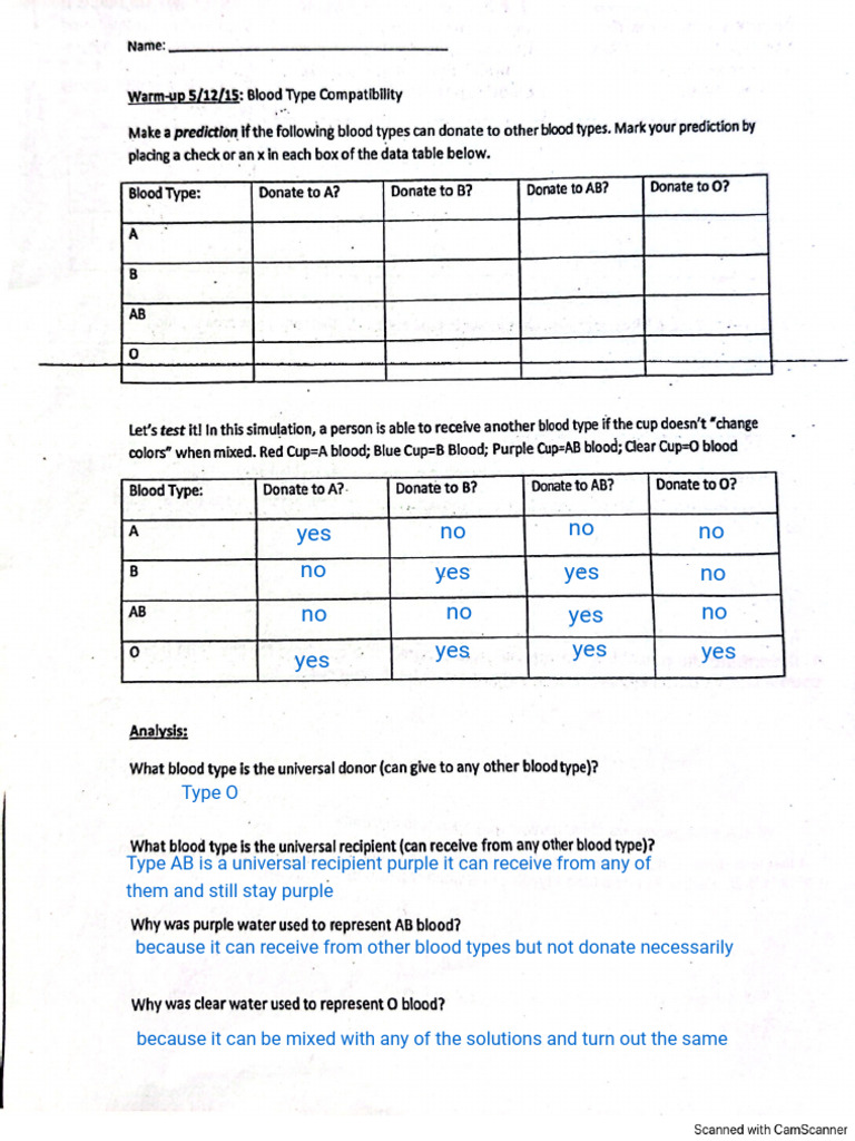 Kami Export - Ava Garcia - Blood Typing Activity | PDF