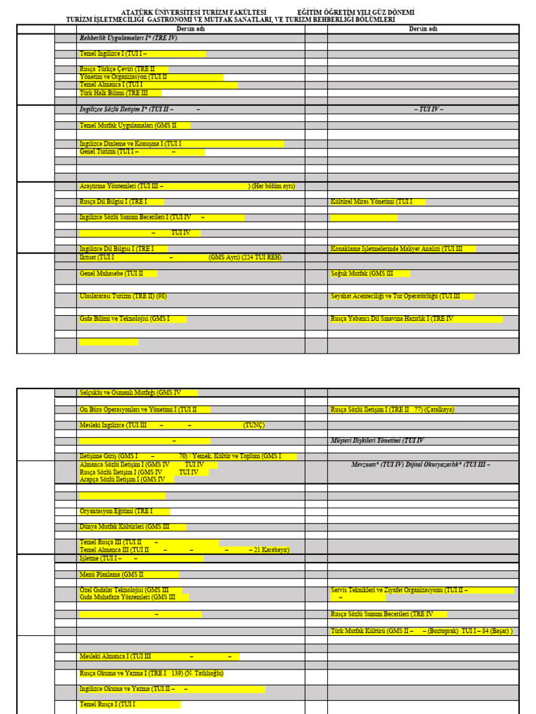 Guncel 2024 25 - Guzvize | PDF