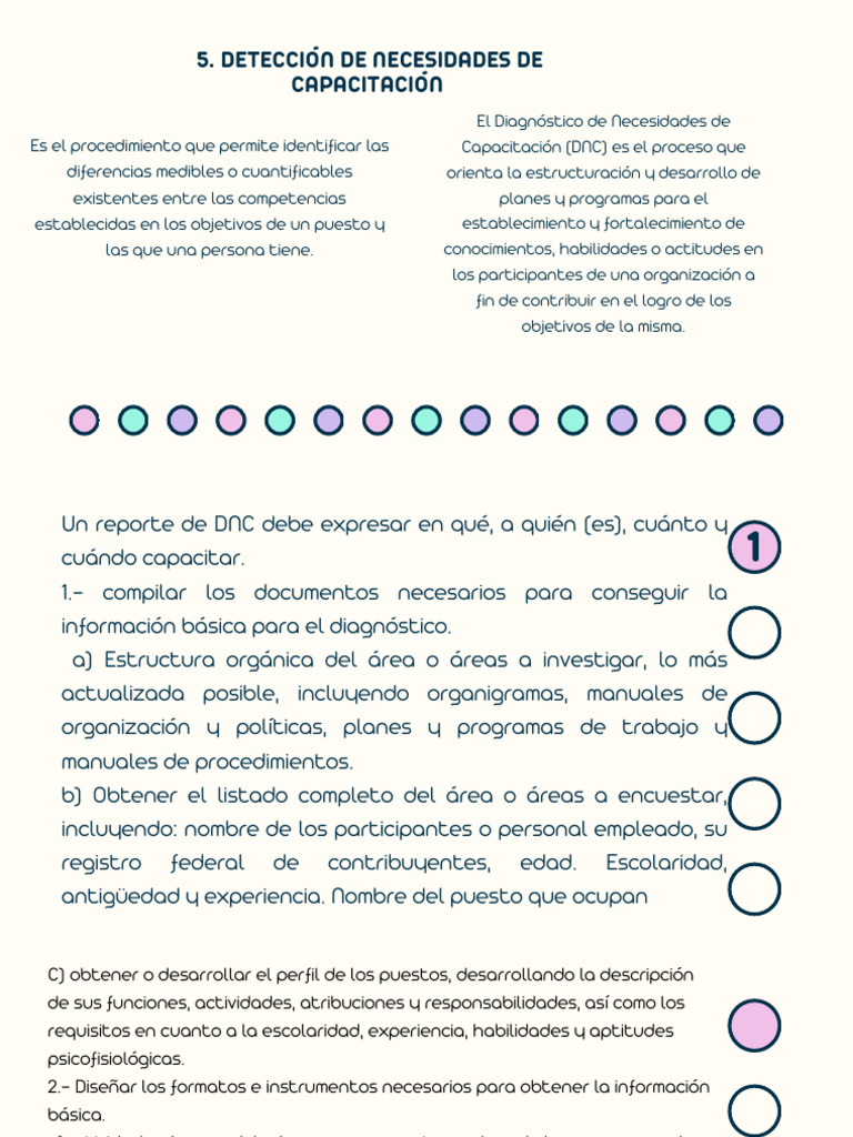 Manual Detección de Necesidades de Capacitación-Karla PDF | PDF