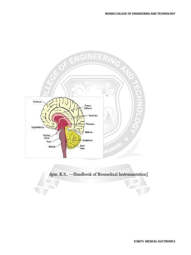 eeg | PDF | Inhibitory Postsynaptic Potential | Excitatory Postsynaptic ...