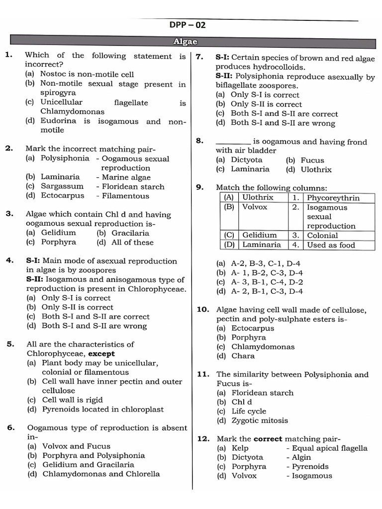 Plant Kingdom DPP 02 | PDF