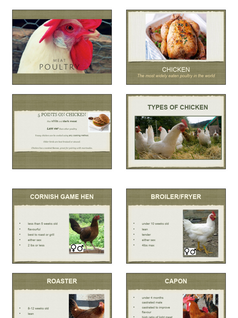 Poultry_SLIDES_4_per_page_Into_to_Culinary_pdf | PDF | Poultry | Marination
