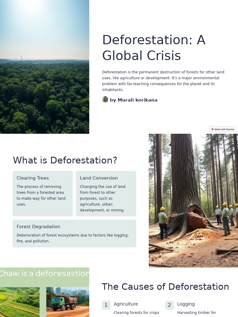 Deforestation a Global Crisis | PDF | Deforestation | Habitat Destruction