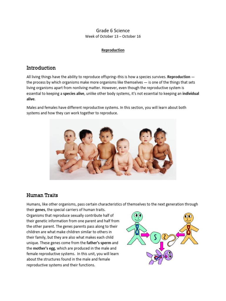Science 6 Oct13 16 - Reproduction | PDF | Menstrual Cycle | Reproduction
