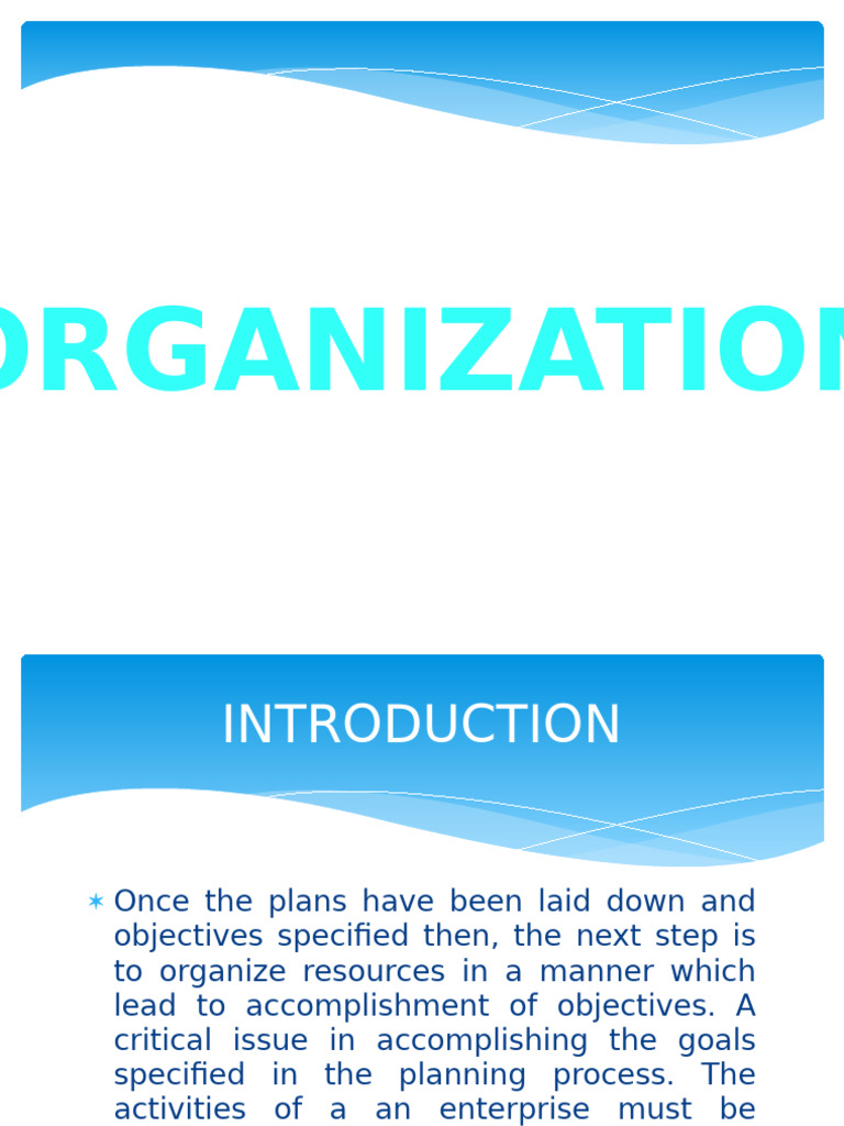 Organising | PDF | Social Psychology | Economies