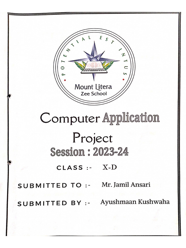 10 Computer Application Project File | PDF