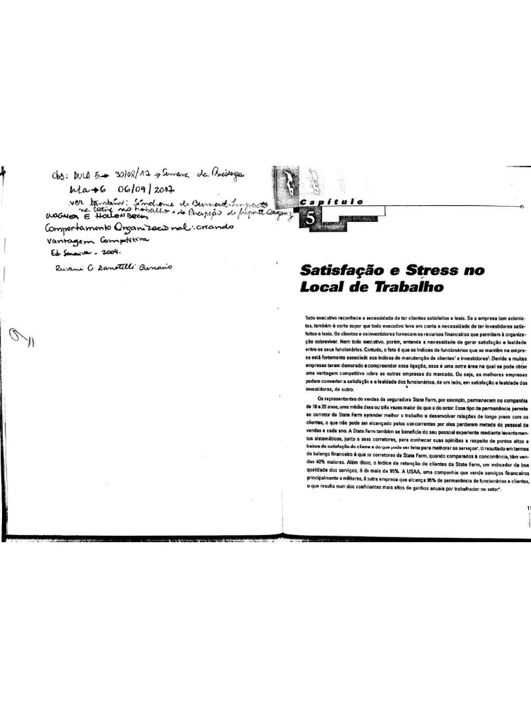 Satisfacao e Stress No Local de Trabalho. Wagner e Hollenbeck - 1 | PDF