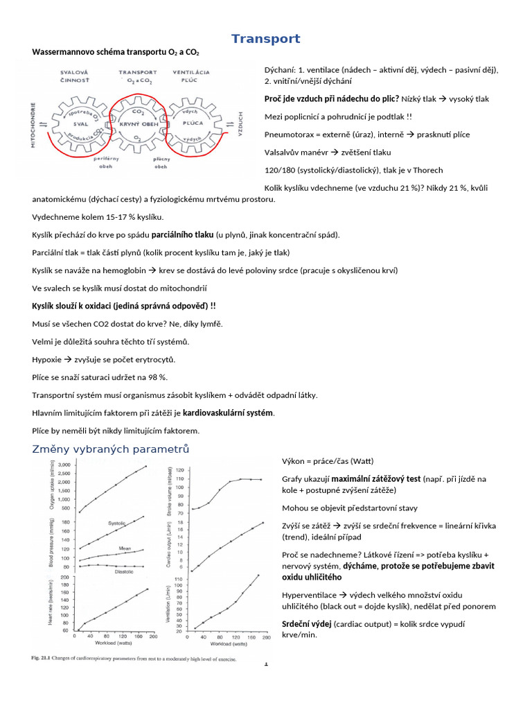 Transport | PDF