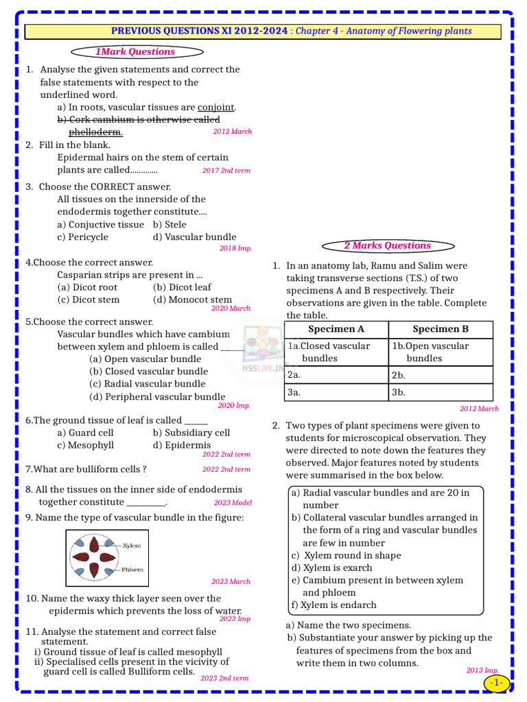 Anatomy of Flowering Plants: Exam Questions | PDF | Plant Stem | Leaf