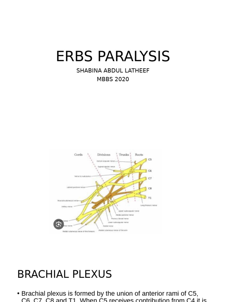 Erbs Palsy | PDF | Musculoskeletal System | Human Anatomy
