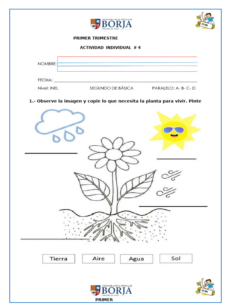 Hojas CCNN (1) | PDF